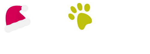 MediPet | Pet Insurance South Africa