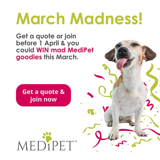 MediPet | Pet Insurance South Africa