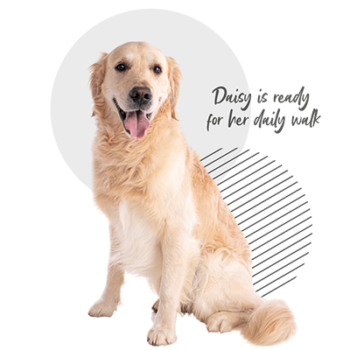 View Pet Insurance Plans - South Africa | MediPet