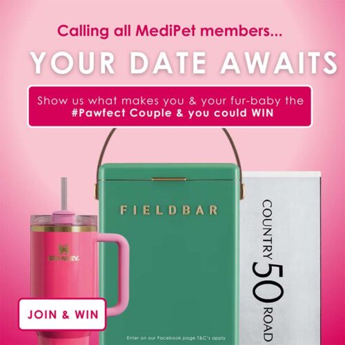 MediPet | Pet Insurance South Africa