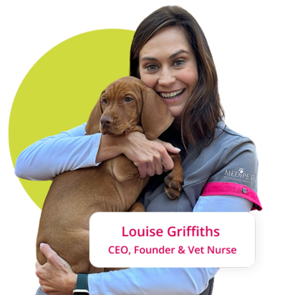 Best Pet Insurance Cover in South Africa | MediPet